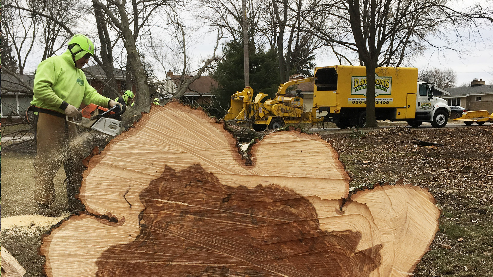 Commercial Services - Dawsons Tree Service