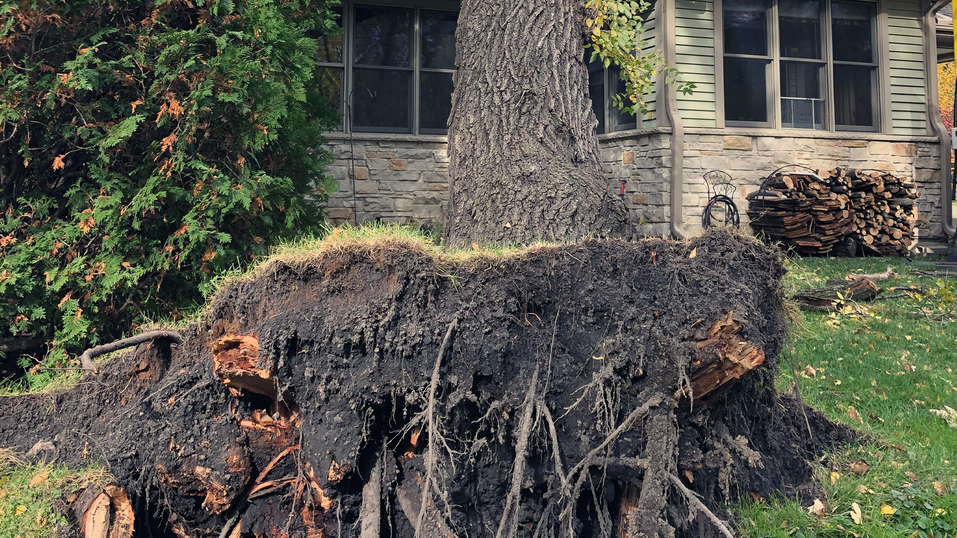 Emergency Services - Dawsons Tree Service