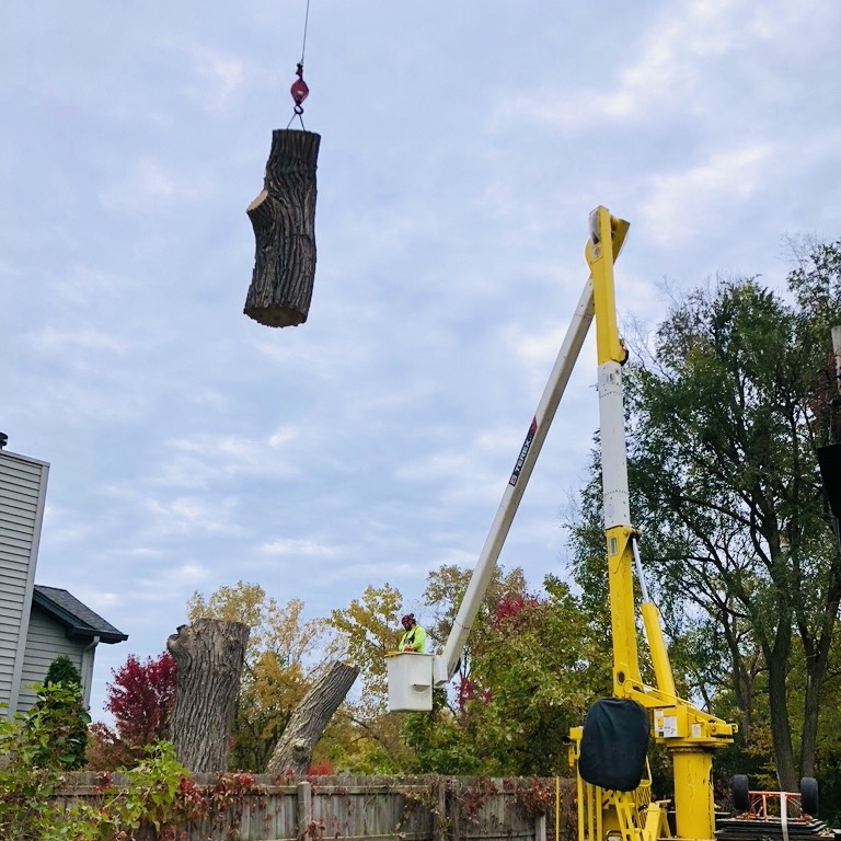 Crane Service – Dawsons Tree Service