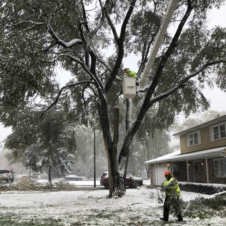 Additional Services - Dawsons Tree Service